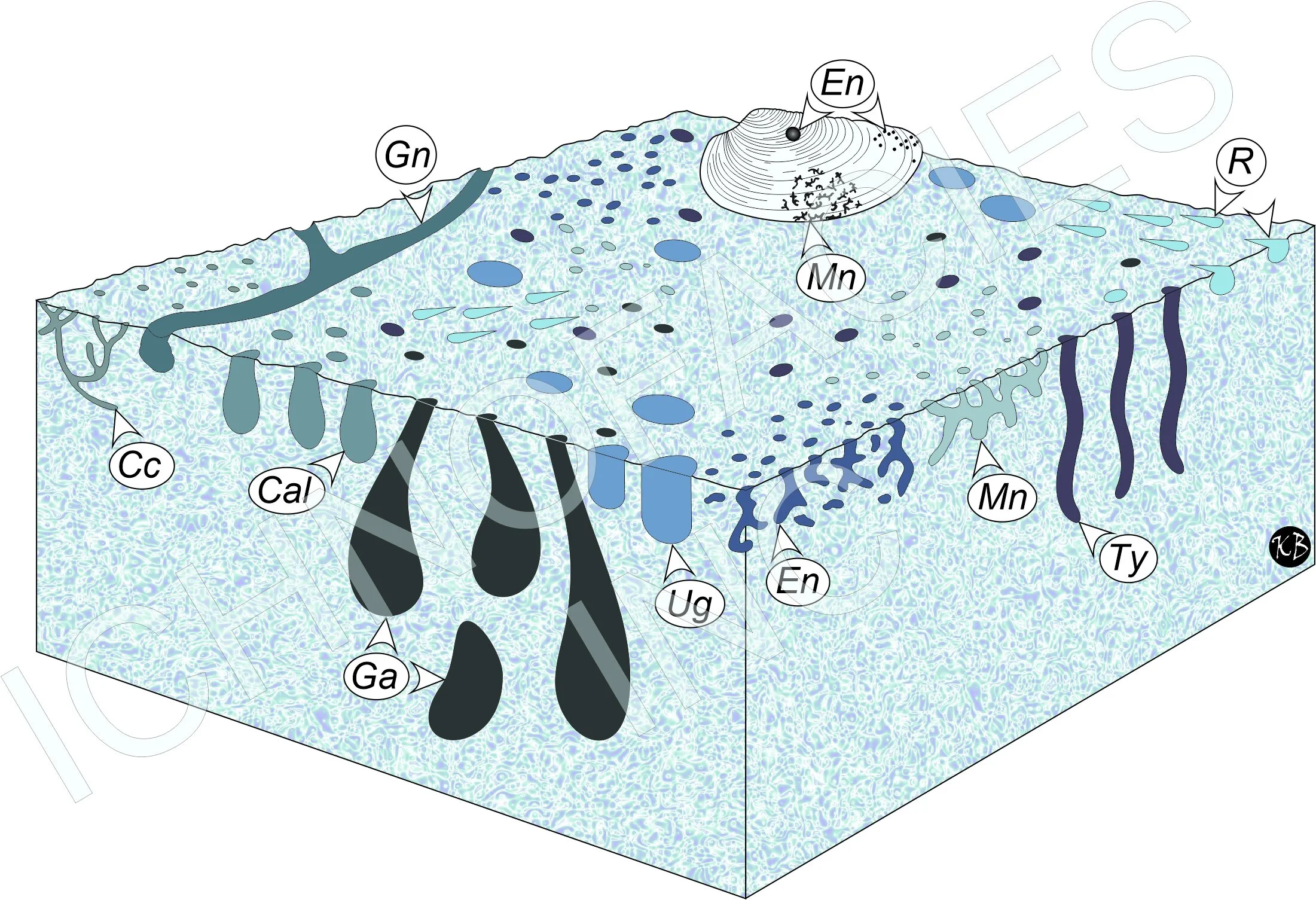 Custom Ichnology Illustration — Ichnofacies Analysis Inc.