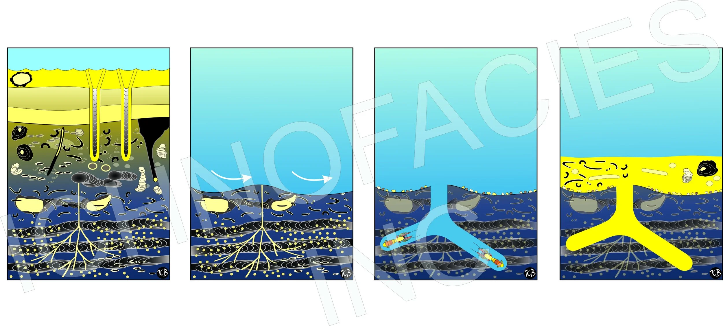 Custom Ichnology Illustration — Ichnofacies Analysis Inc.