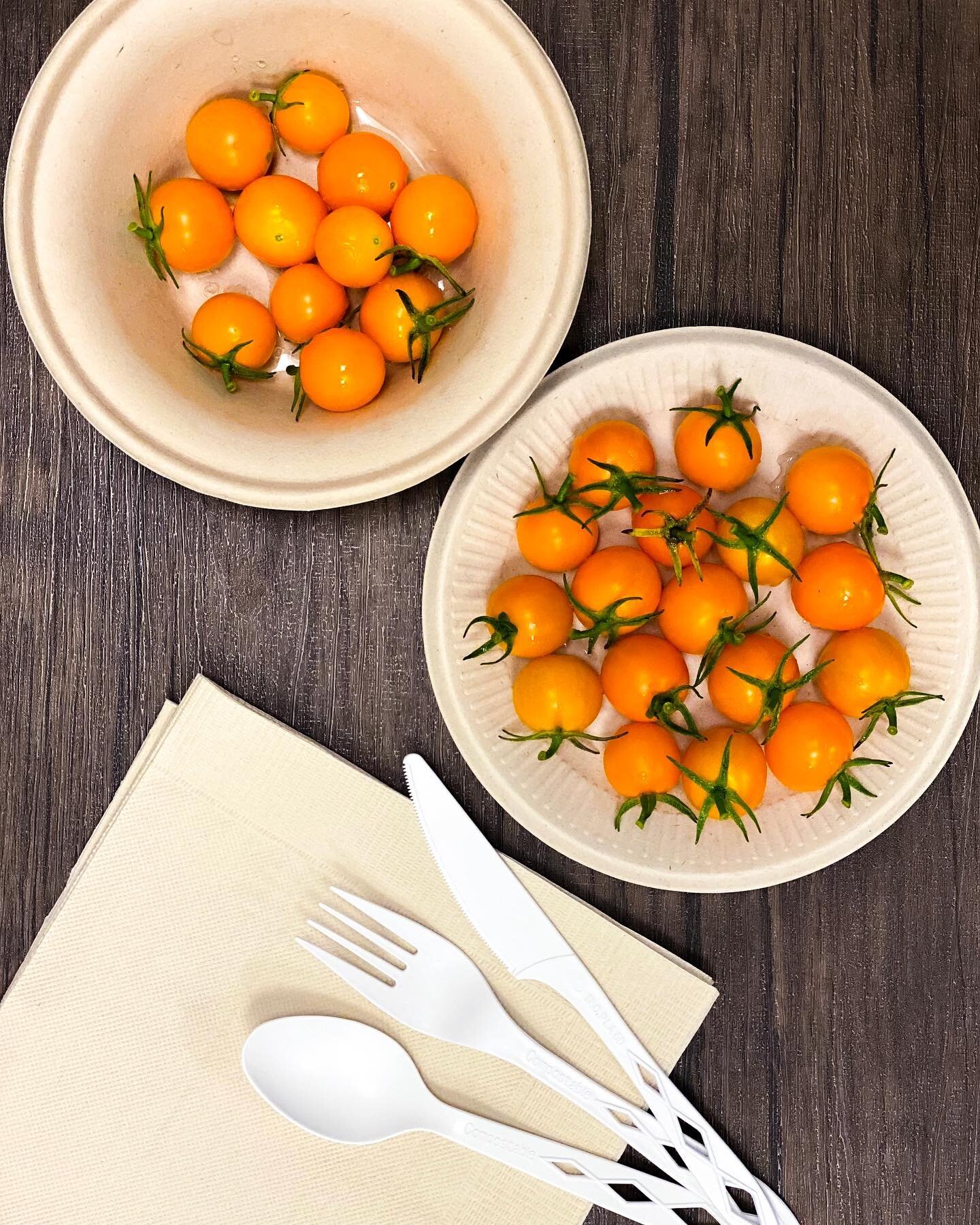 Earth's Natural Alternative®