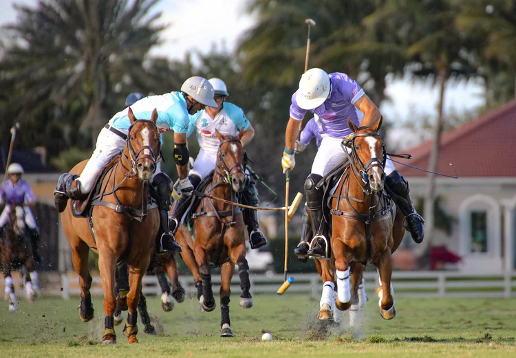 Grand Champions Polo Club