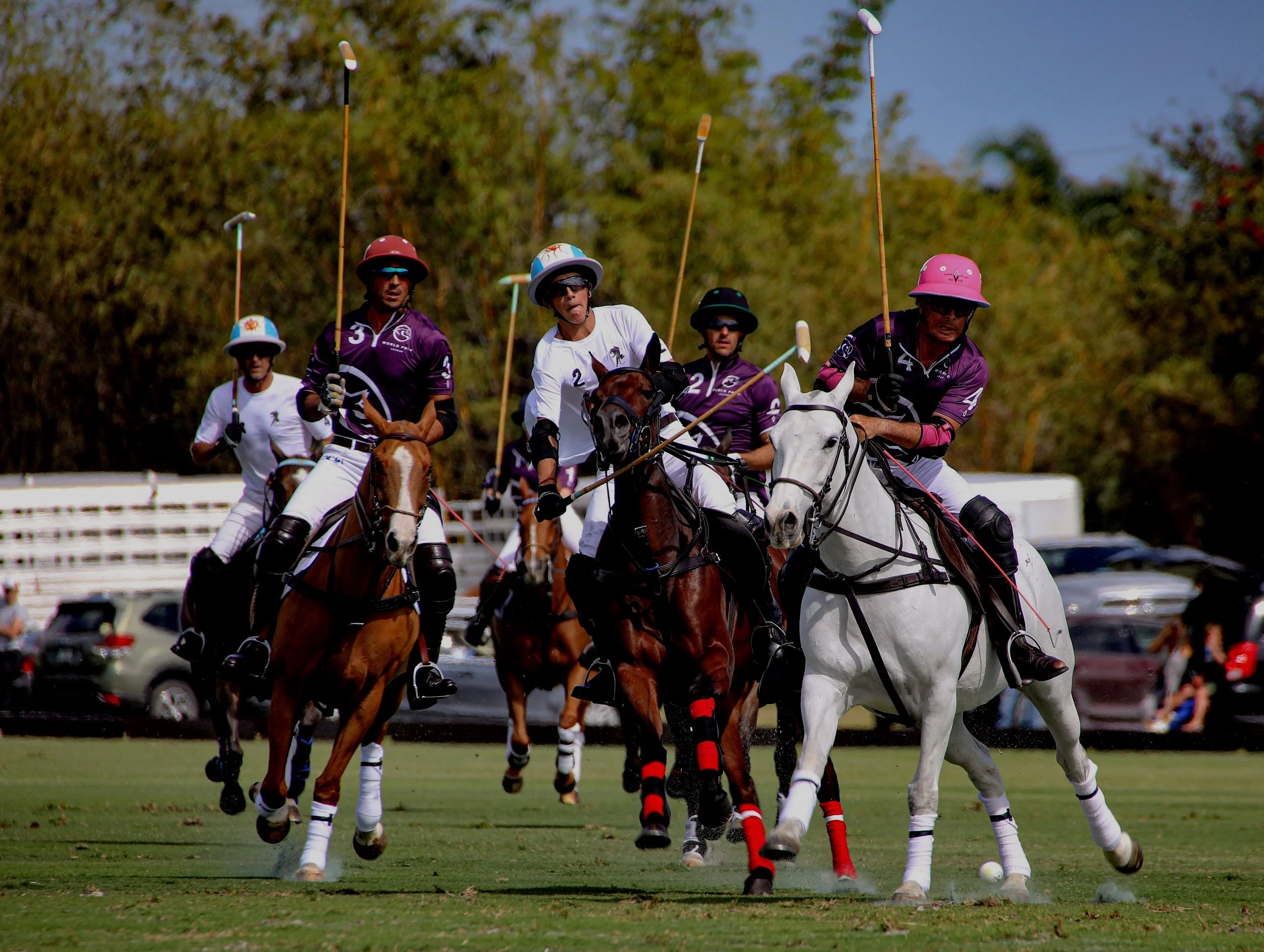 Grand Champions Polo Club