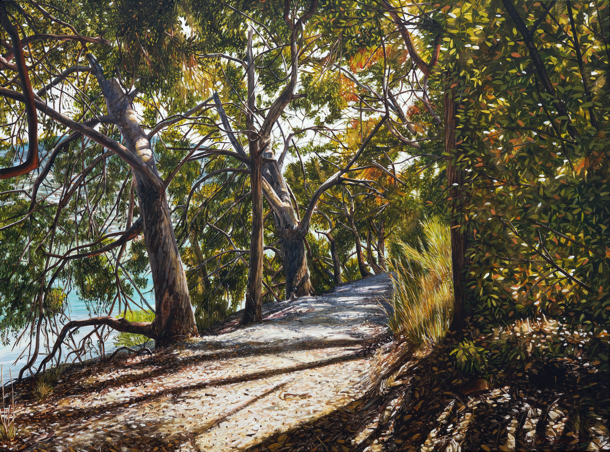 Paintings in stock — SAM FOLEY