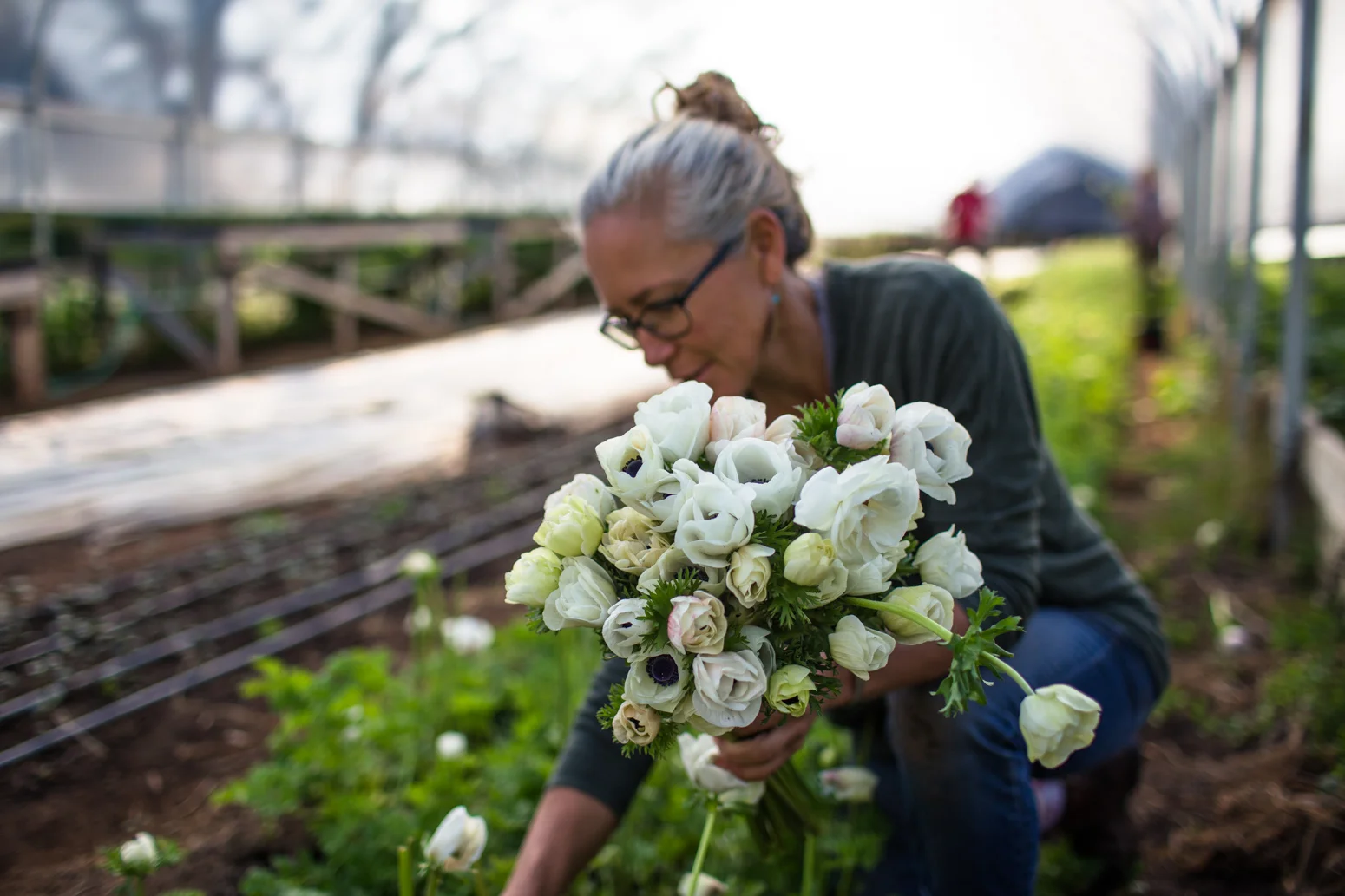 CSA — Little Boy Flowers