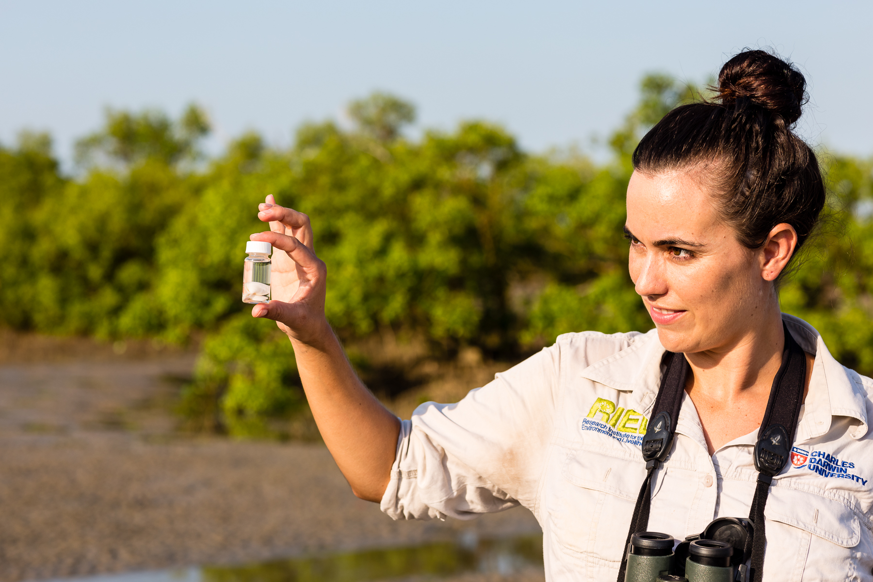 Amanda Lilleyman, from 'Locals who love birds' /// EXHIBITIONS — SARAH ...