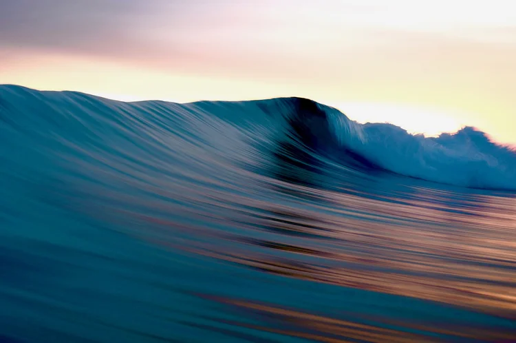 Interview with surf photographer Morgan Maassen — daily salt