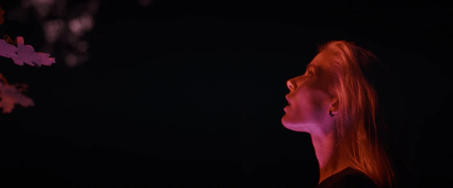 ROTTEN FLOWERS — A Night of Horror International Film Festival