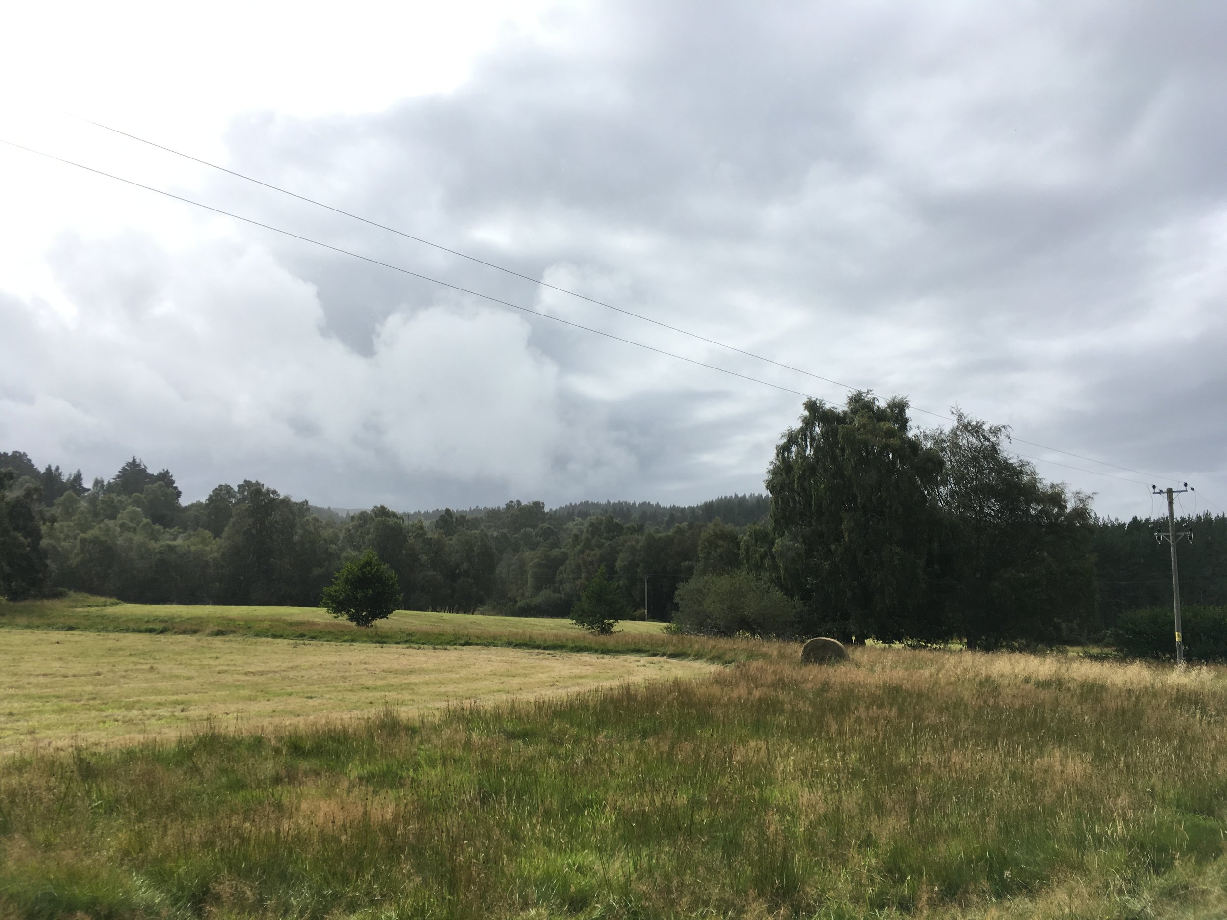 Five Questions for... Amanda Thomson — Elsewhere: A Journal of Place