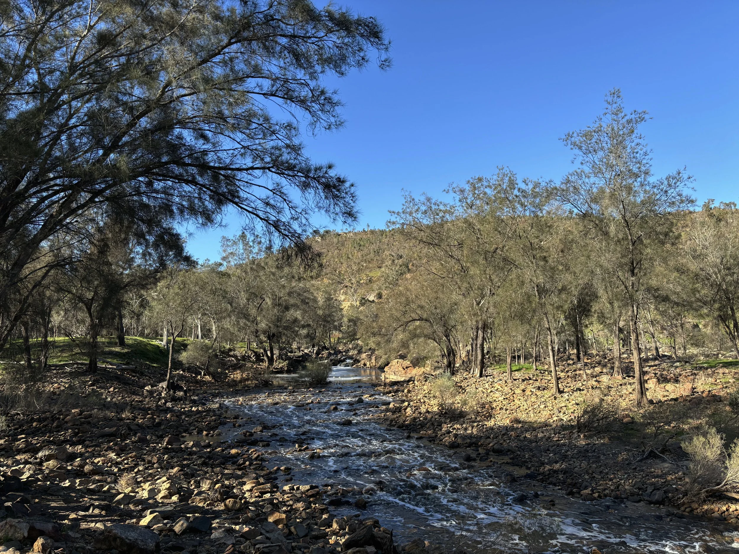 Pilgrims — Elsewhere: A Journal of Place