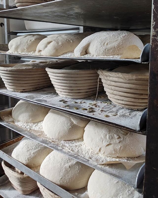 Söderberg | Swedish Coffee Shop and Bakery