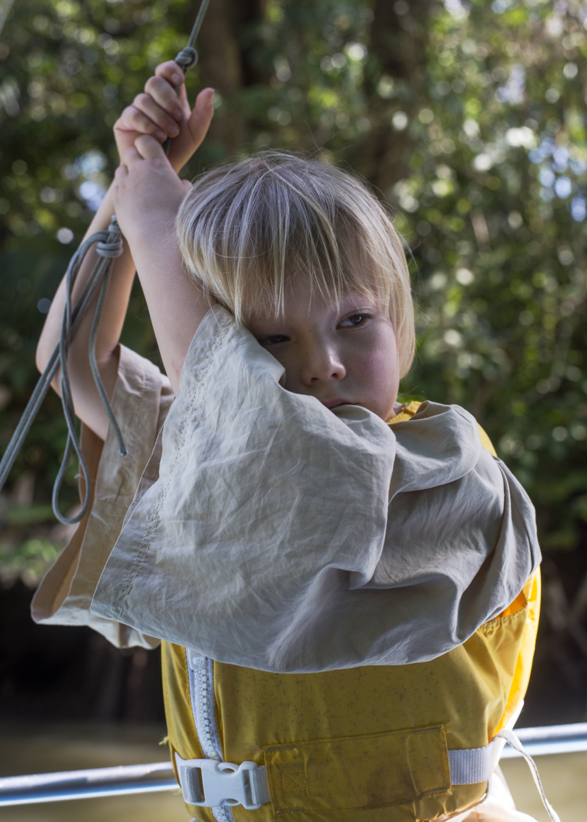 An Otherwise Fruitless Search — Tova Katzman