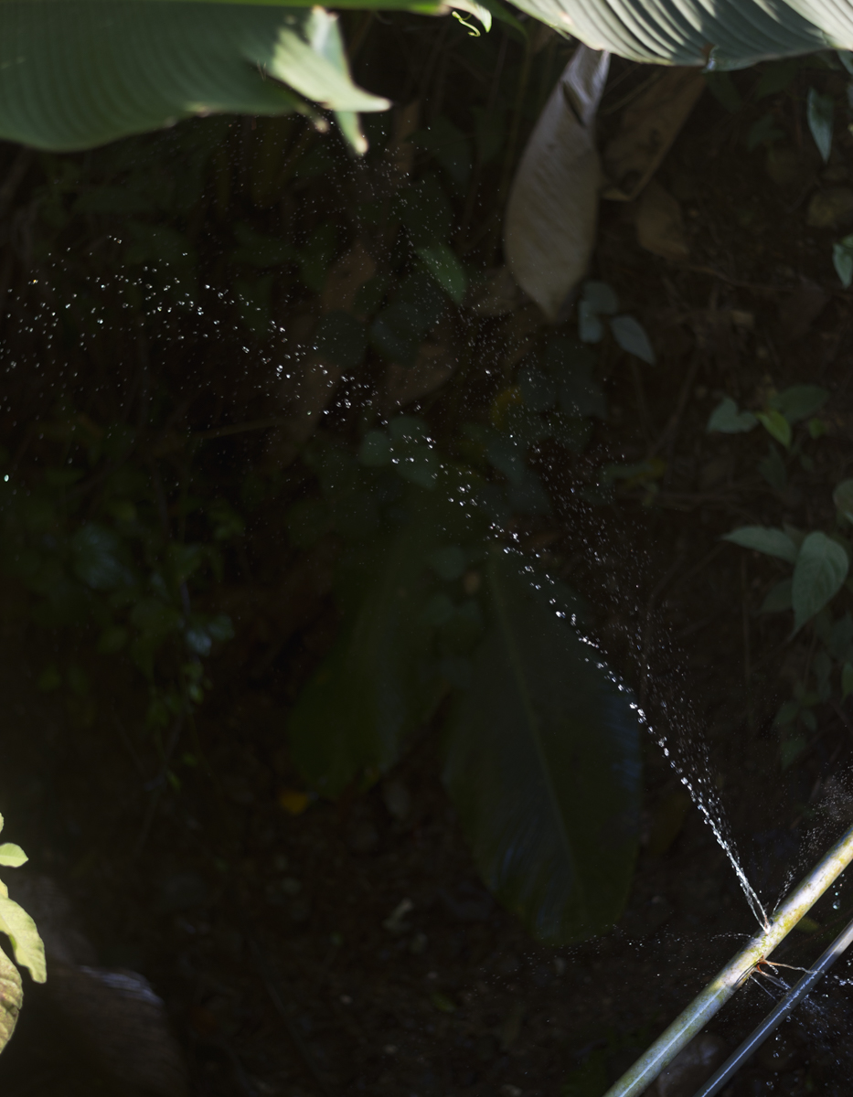 An Otherwise Fruitless Search — Tova Katzman