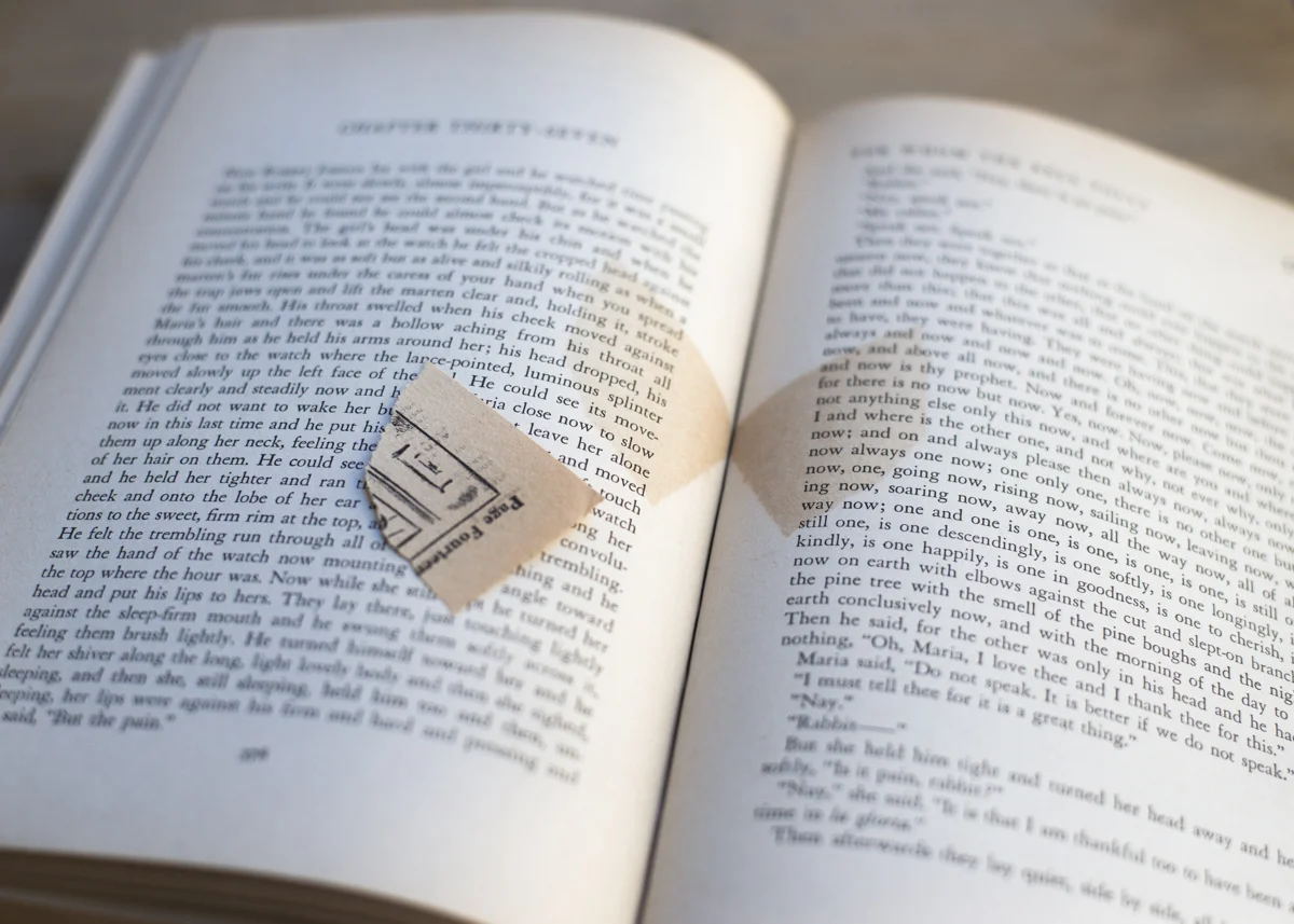 An Otherwise Fruitless Search — Tova Katzman