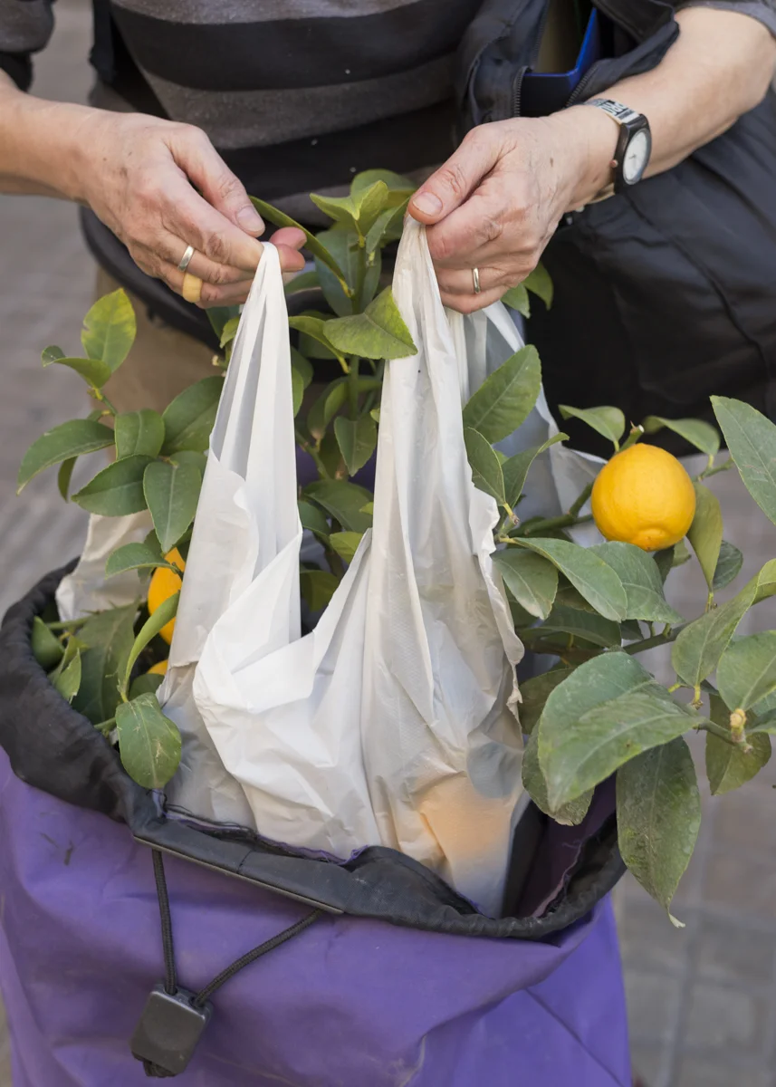 An Otherwise Fruitless Search — Tova Katzman