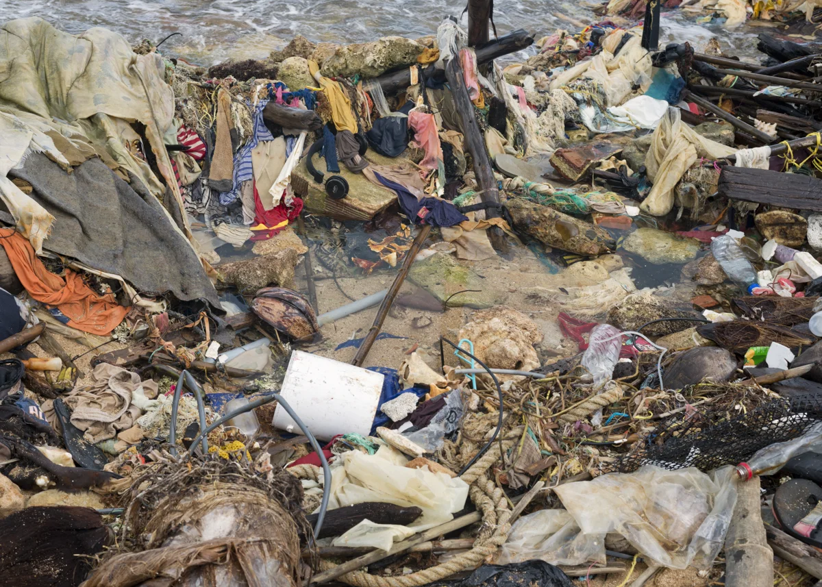 An Otherwise Fruitless Search — Tova Katzman