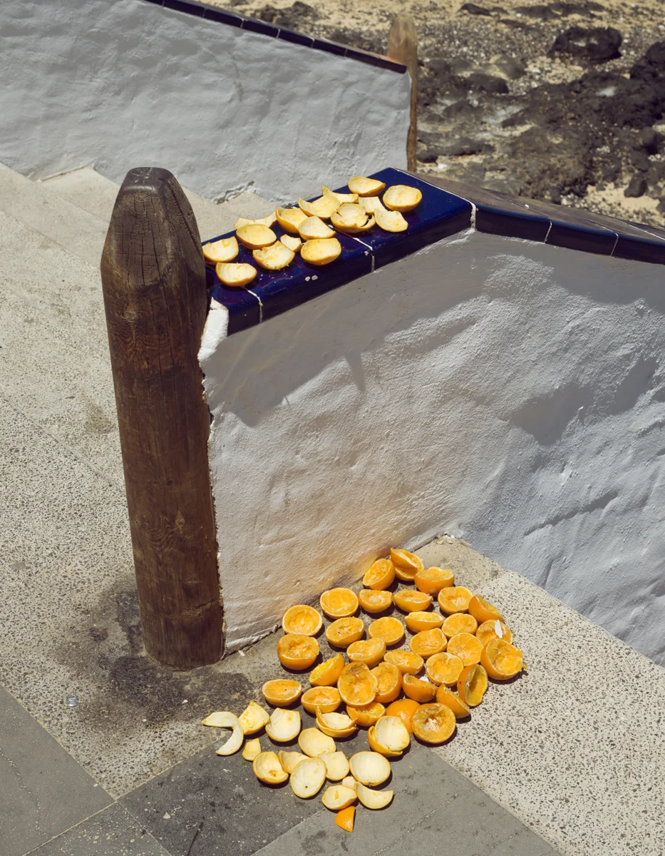 An Otherwise Fruitless Search — Tova Katzman