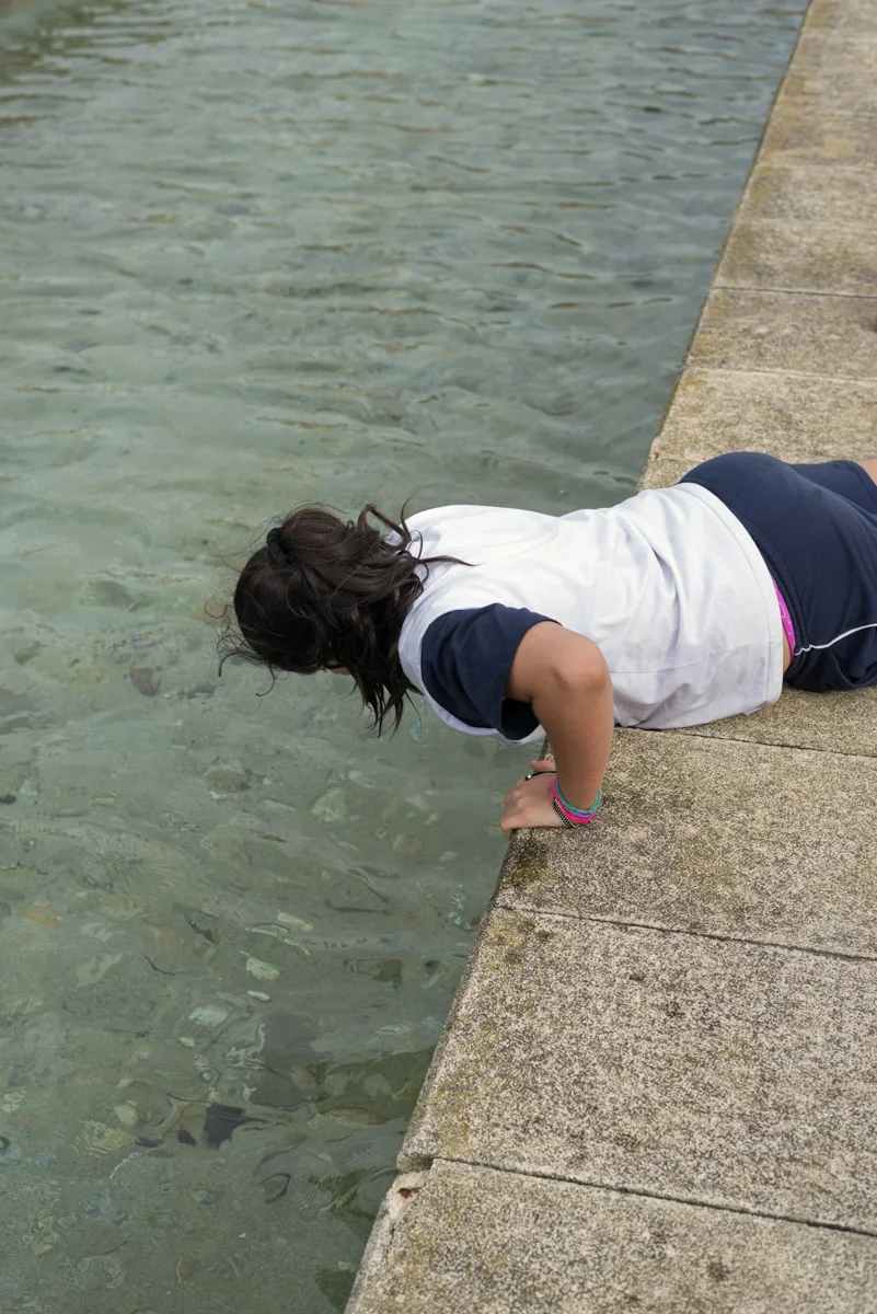 An Otherwise Fruitless Search — Tova Katzman