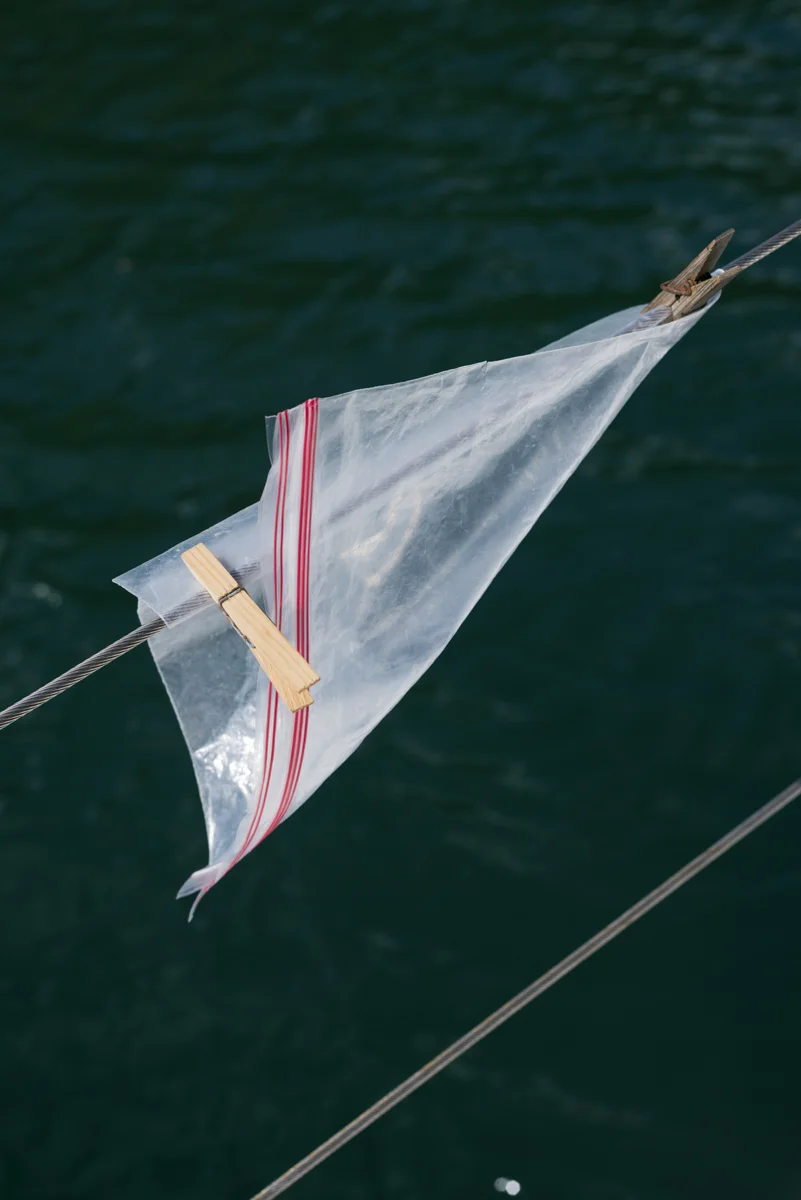 An Otherwise Fruitless Search — Tova Katzman