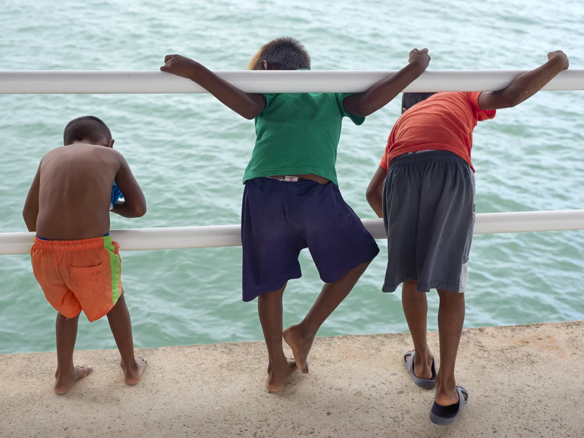 An Otherwise Fruitless Search — Tova Katzman