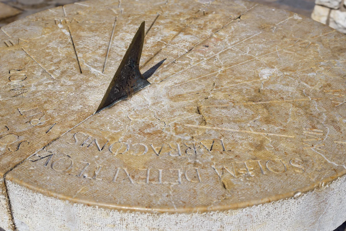 An Otherwise Fruitless Search — Tova Katzman