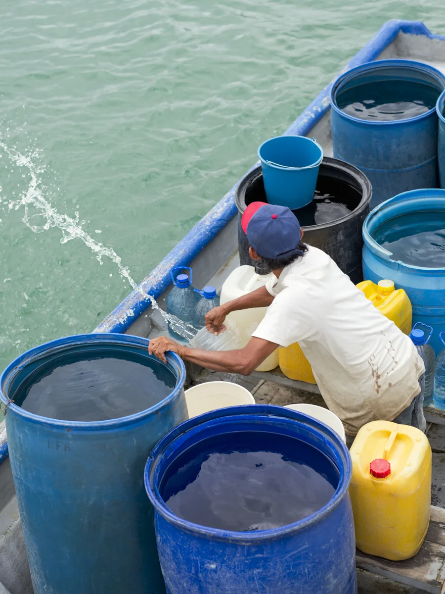 An Otherwise Fruitless Search — Tova Katzman