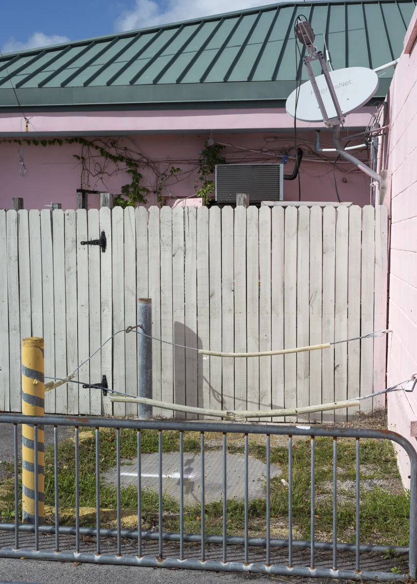 An Otherwise Fruitless Search — Tova Katzman