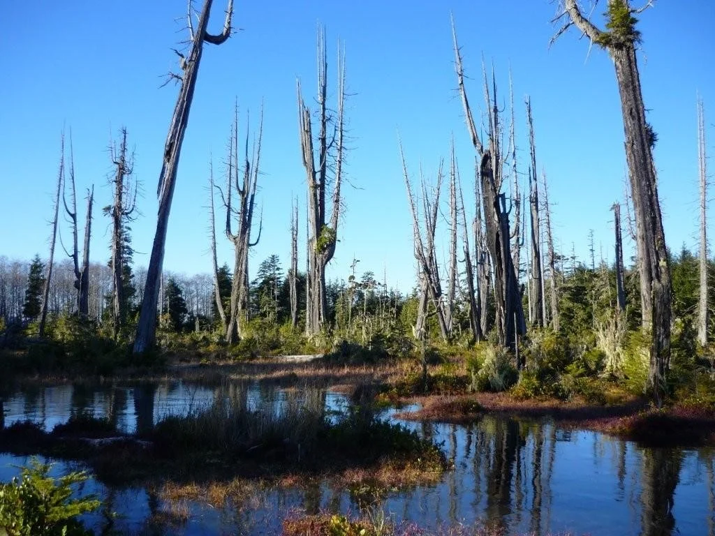 Village of Alert Bay