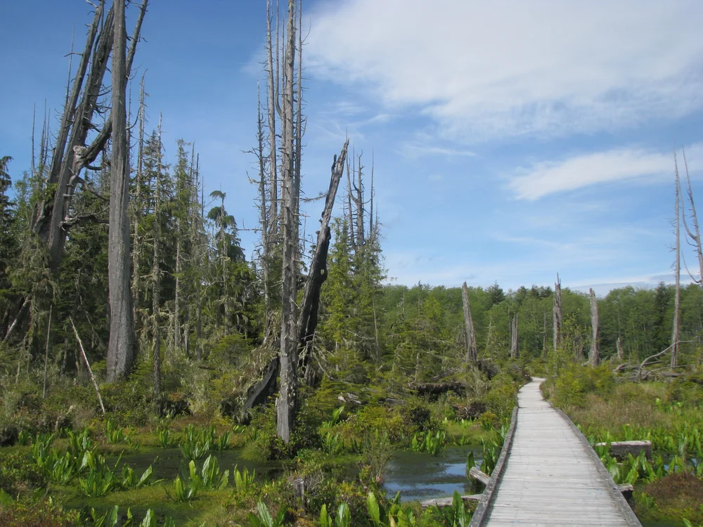 Village of Alert Bay