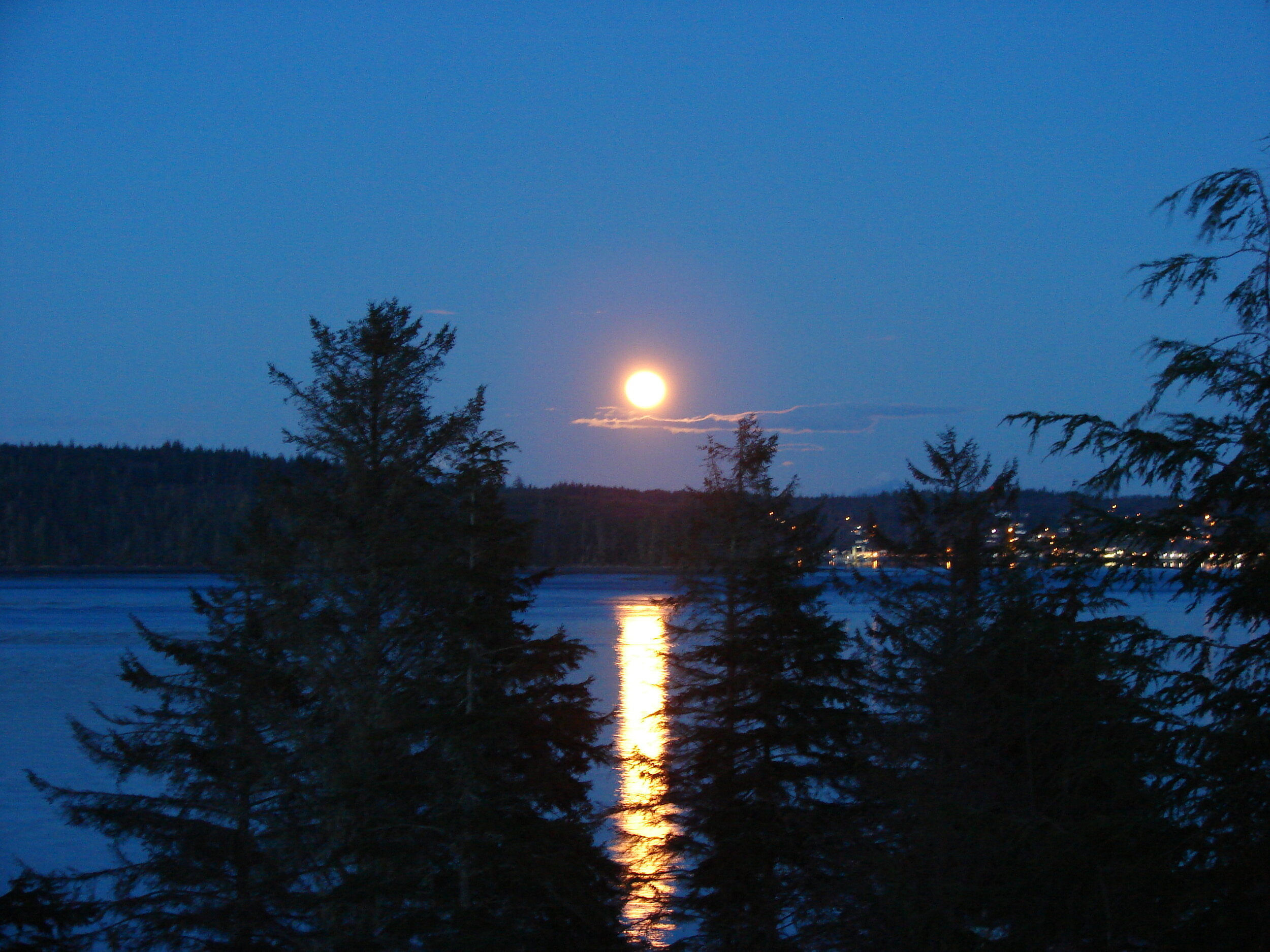 Village of Alert Bay