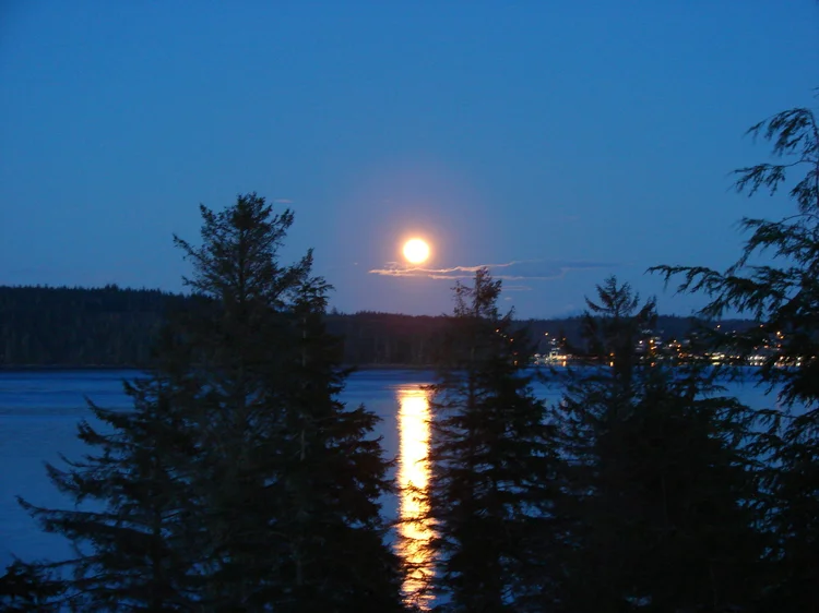 Village of Alert Bay