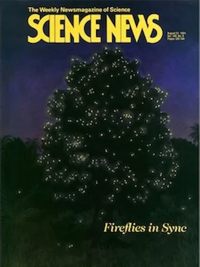 Research — Steven Strogatz