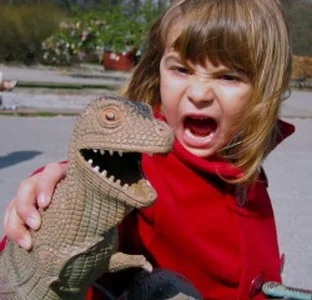 Fun — Steven Strogatz