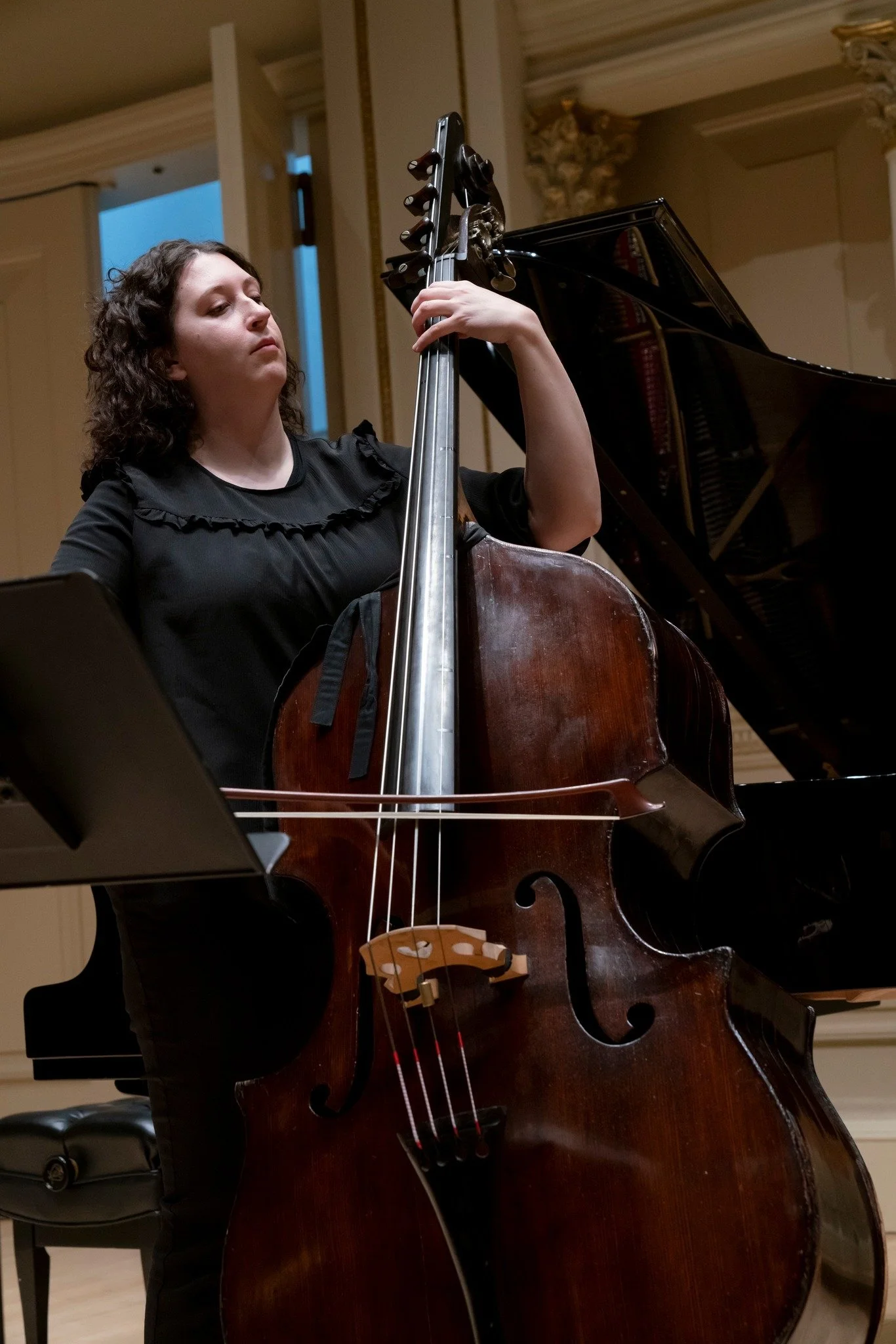 Meet the Artists — Wintergreen Music