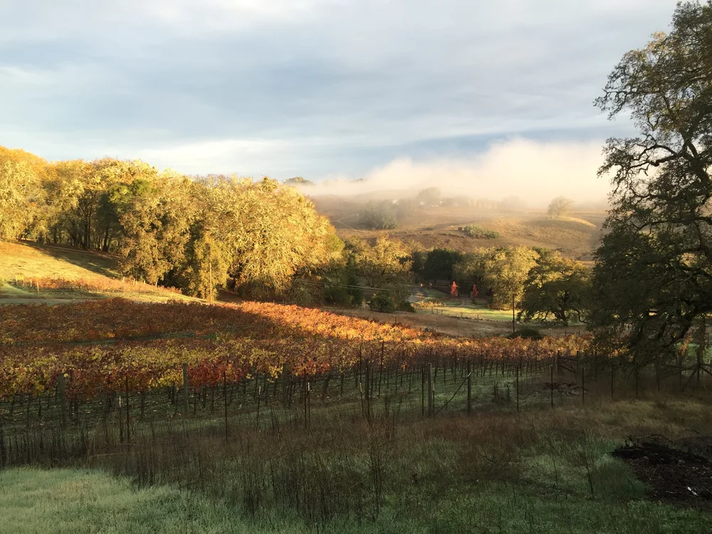 Events, Weddings, & Celebrations | Blog | The Highlands Estate