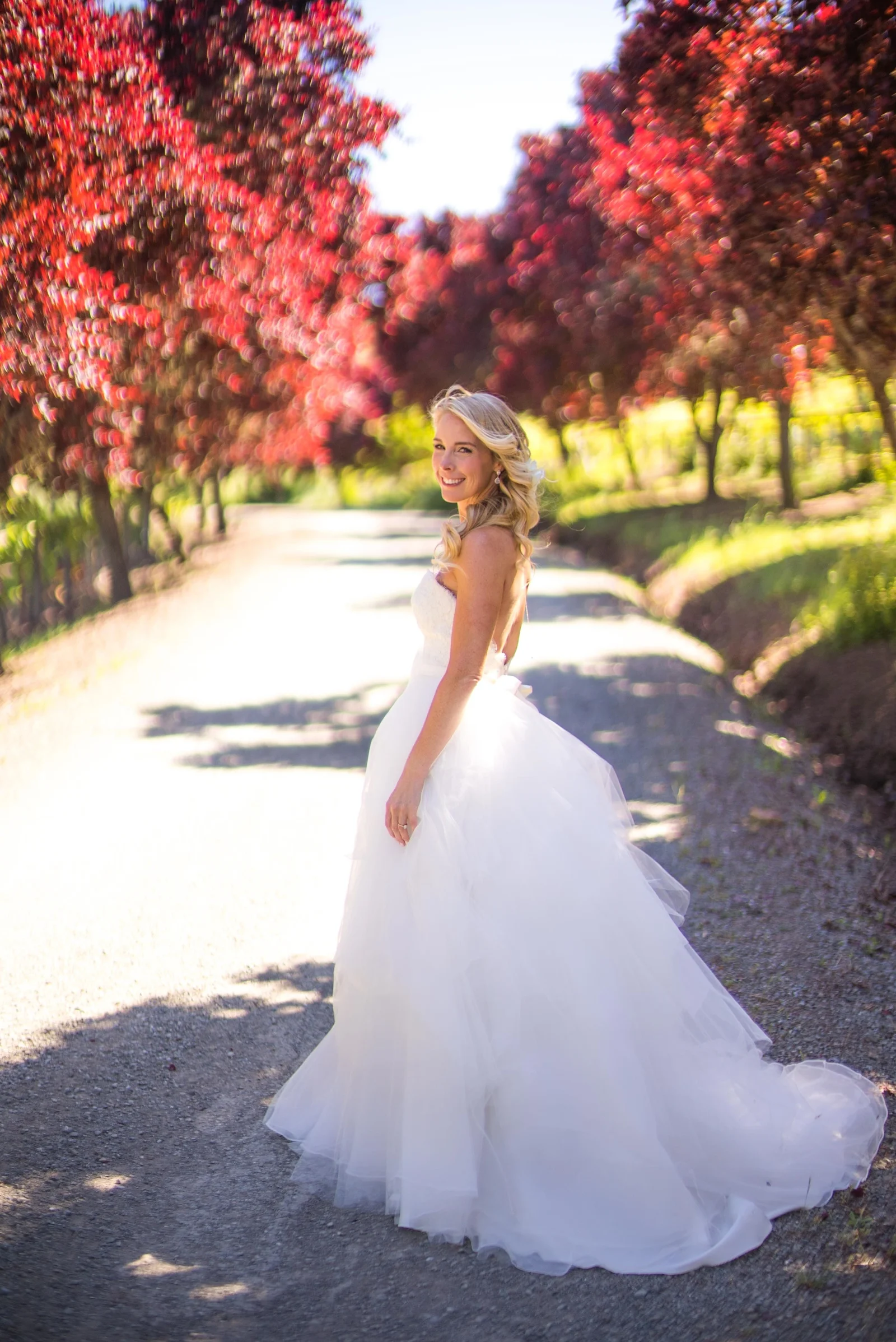 Wedding Gallery & Reception Ideas | The Highlands Estate