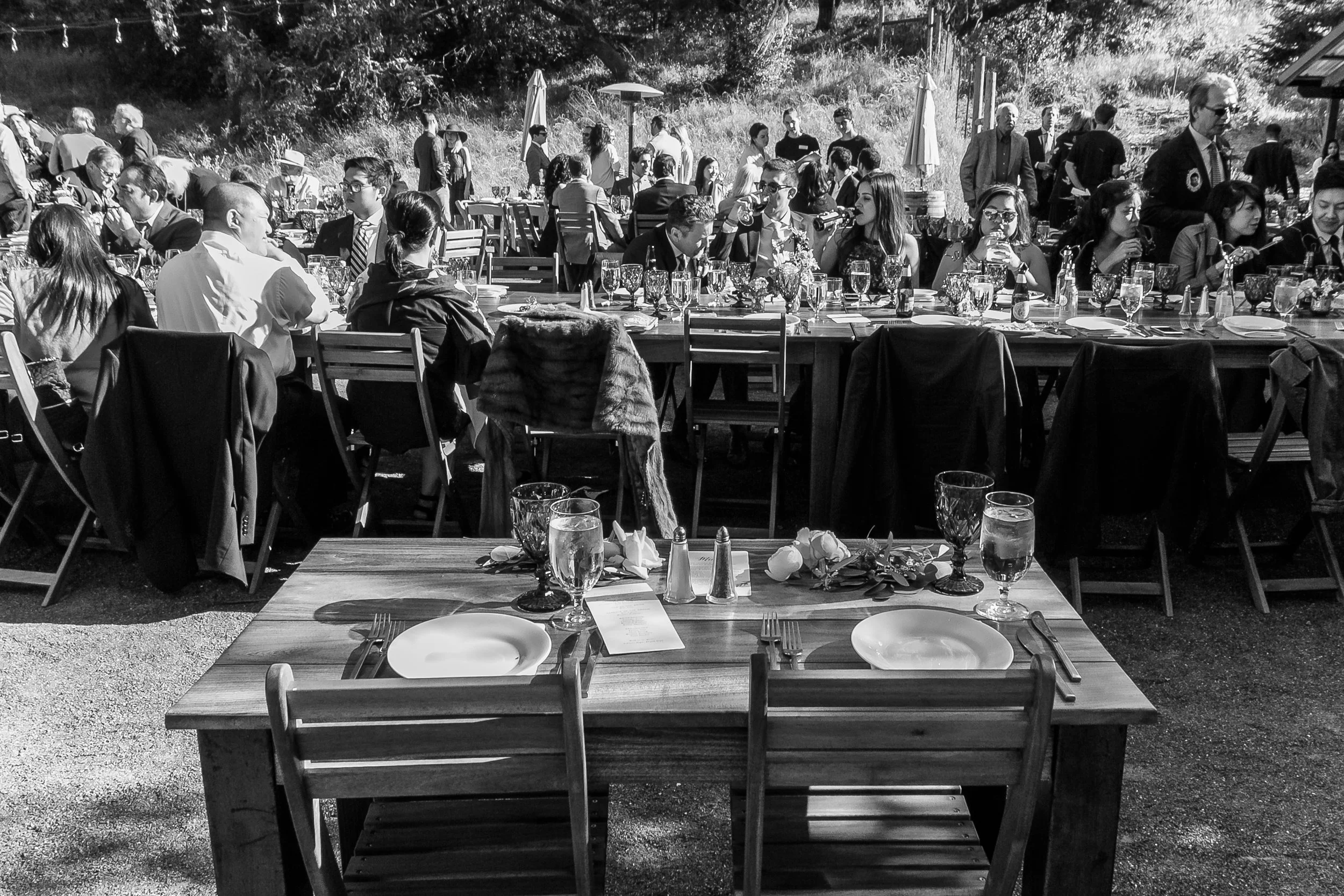 Wedding Gallery & Reception Ideas | The Highlands Estate