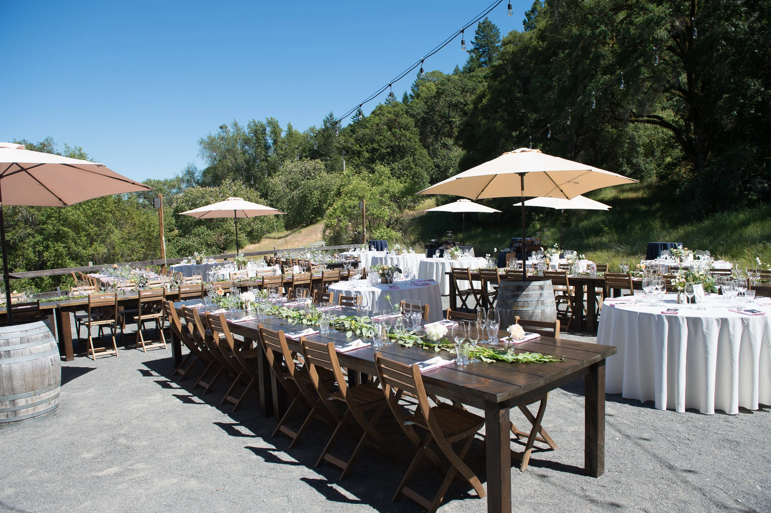 Wedding Gallery & Reception Ideas | The Highlands Estate