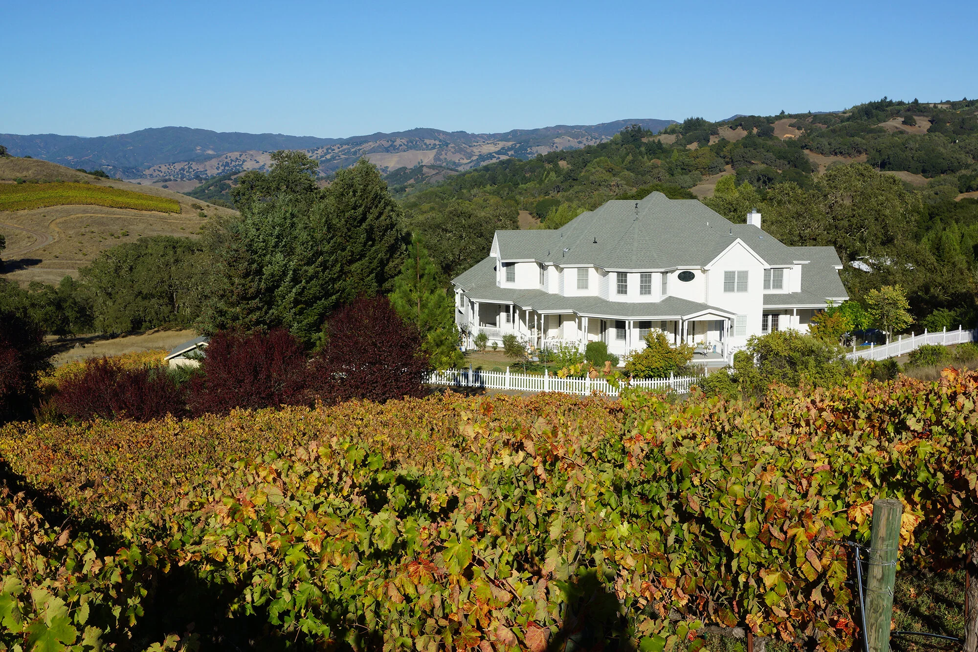Sonoma Barn & Vineyard Wedding Venues | The Highlands Estate