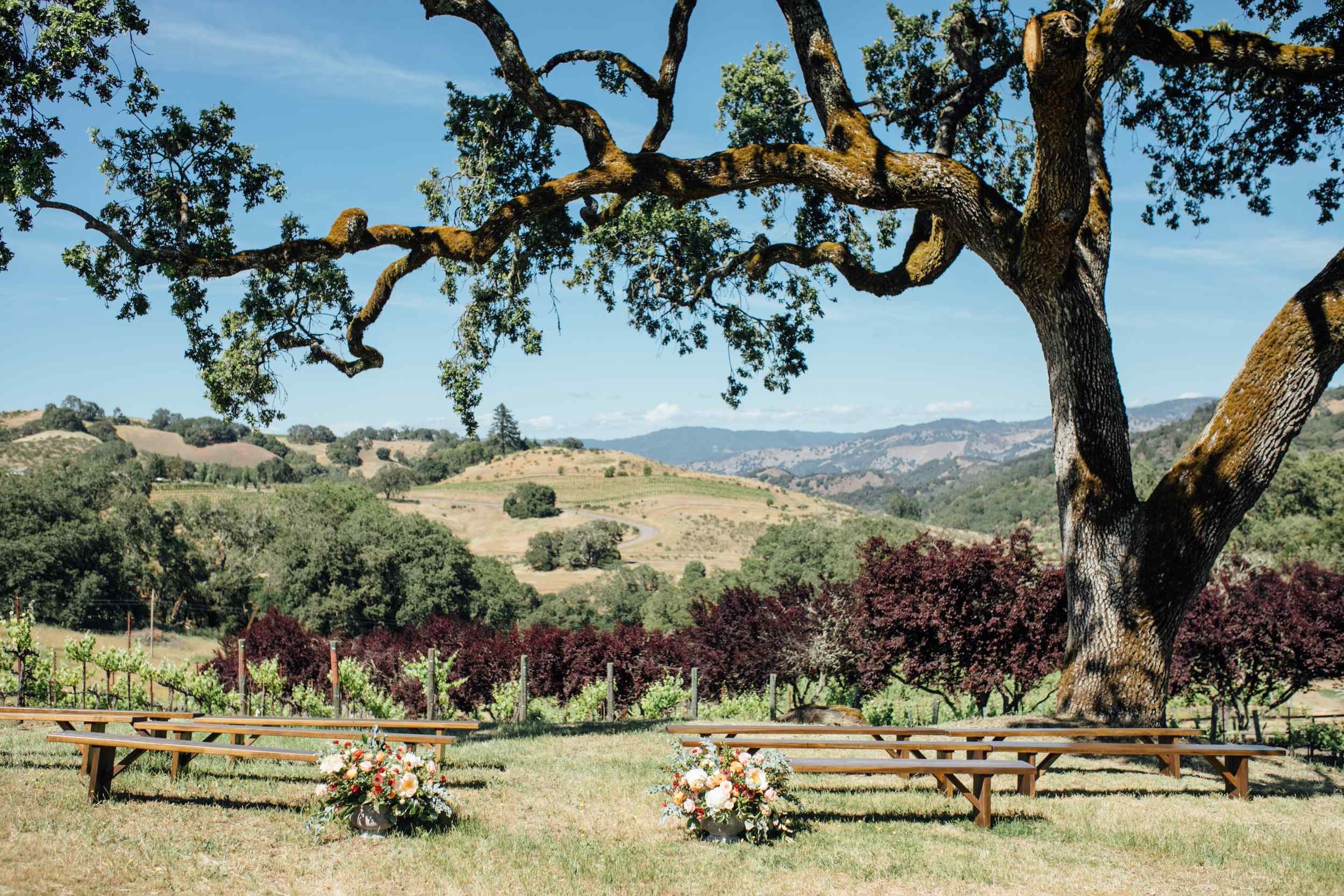 Reasons to Choose a Weekend Wedding at The Highlands Estate