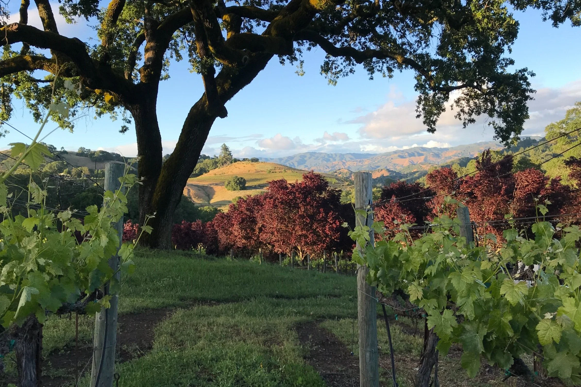 About The Property | The Highlands Estate