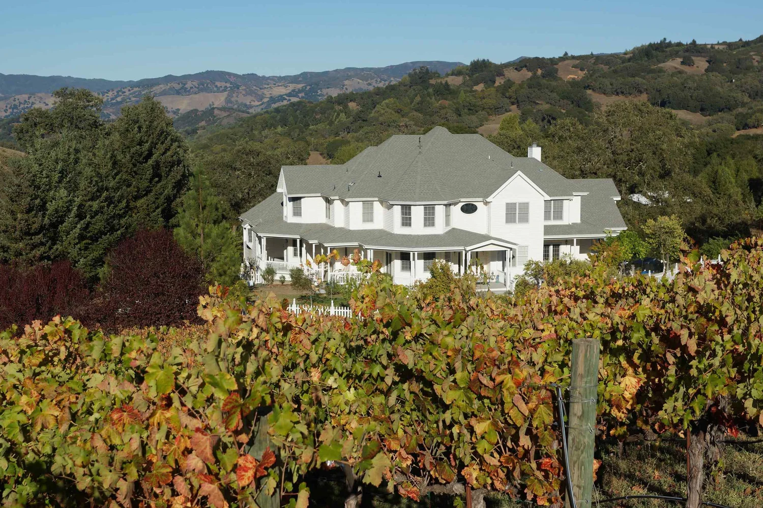 Sonoma Barn & Vineyard Weekend Wedding Venue