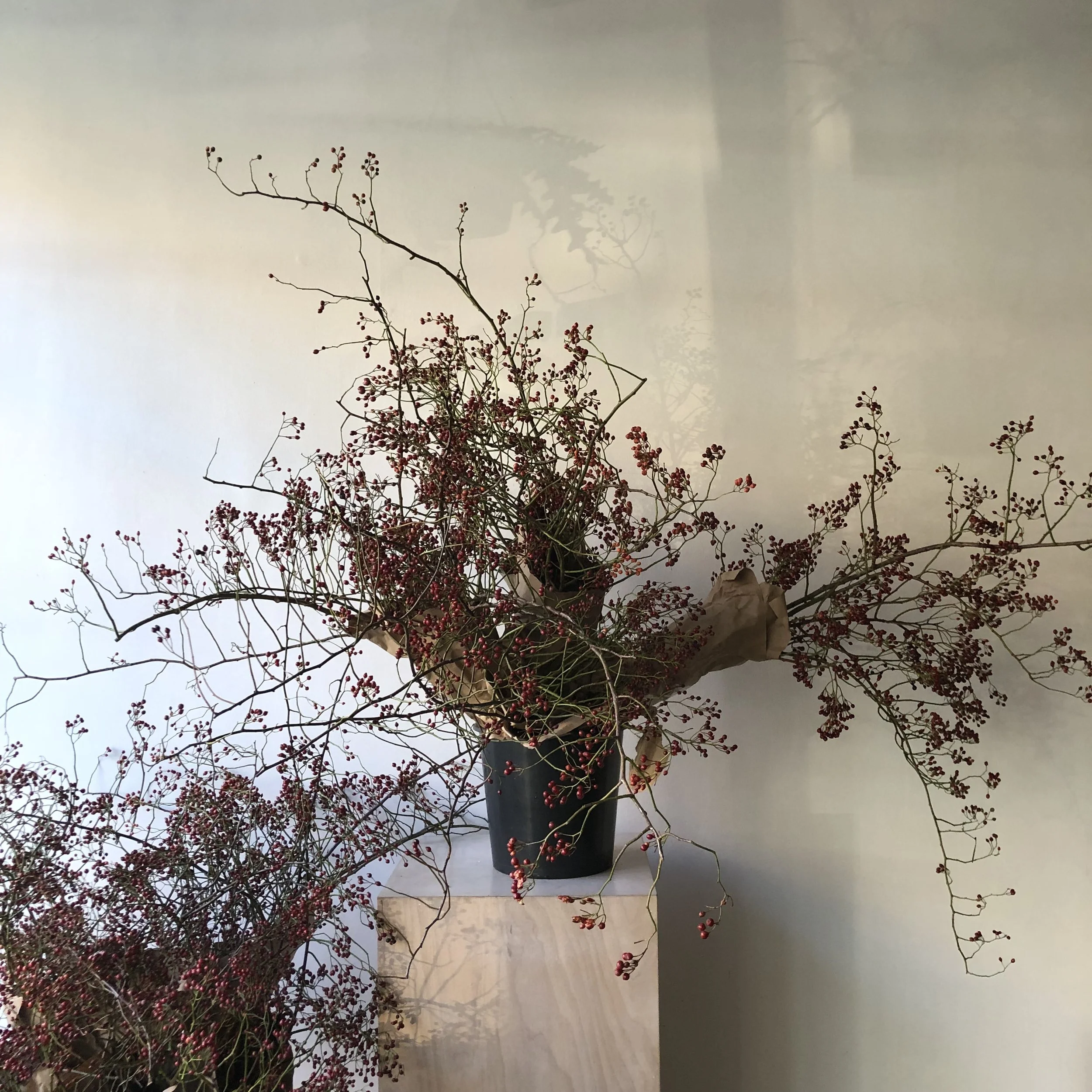 Send Flowers — Cornell Florist