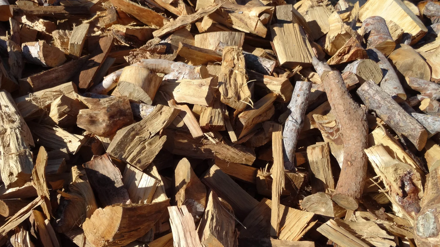 Nicholas Firewood