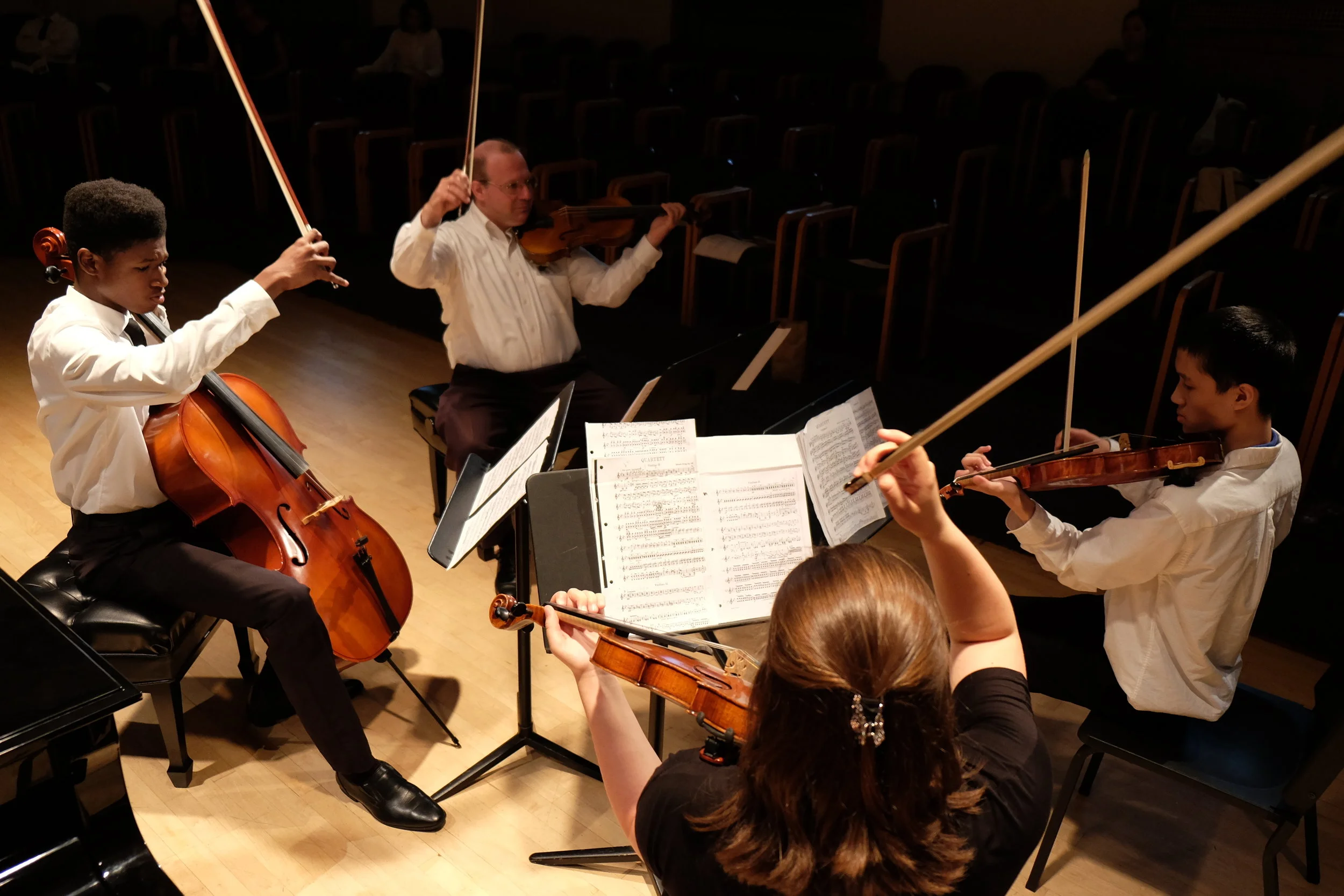 Lyra Music Festival and Workshop