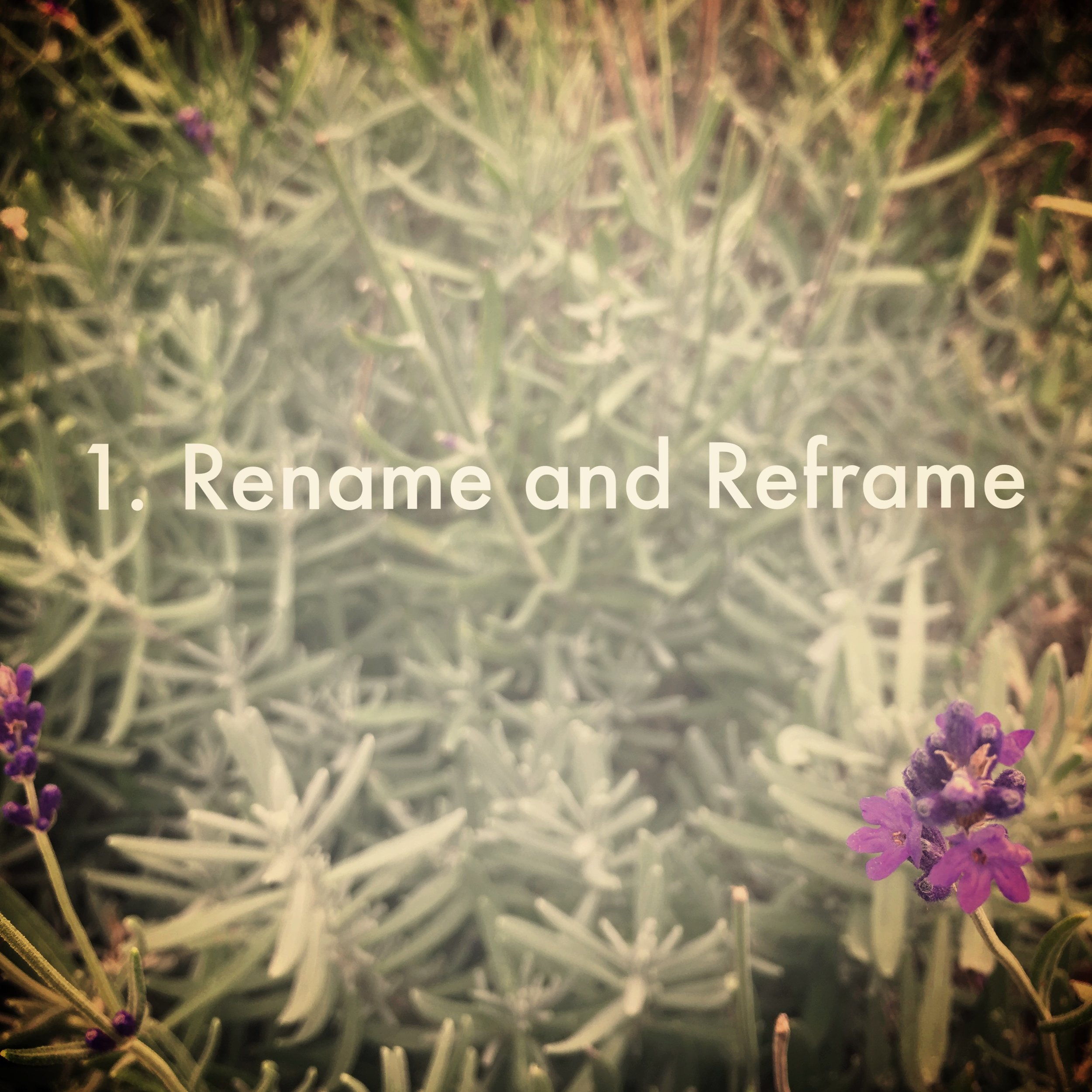 Healing Herbs | How to Love Limbo |Classes