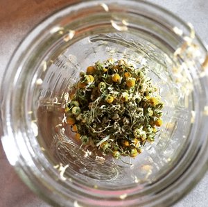 Healing Herbs | How to Make an Herbal Infusion |Classes