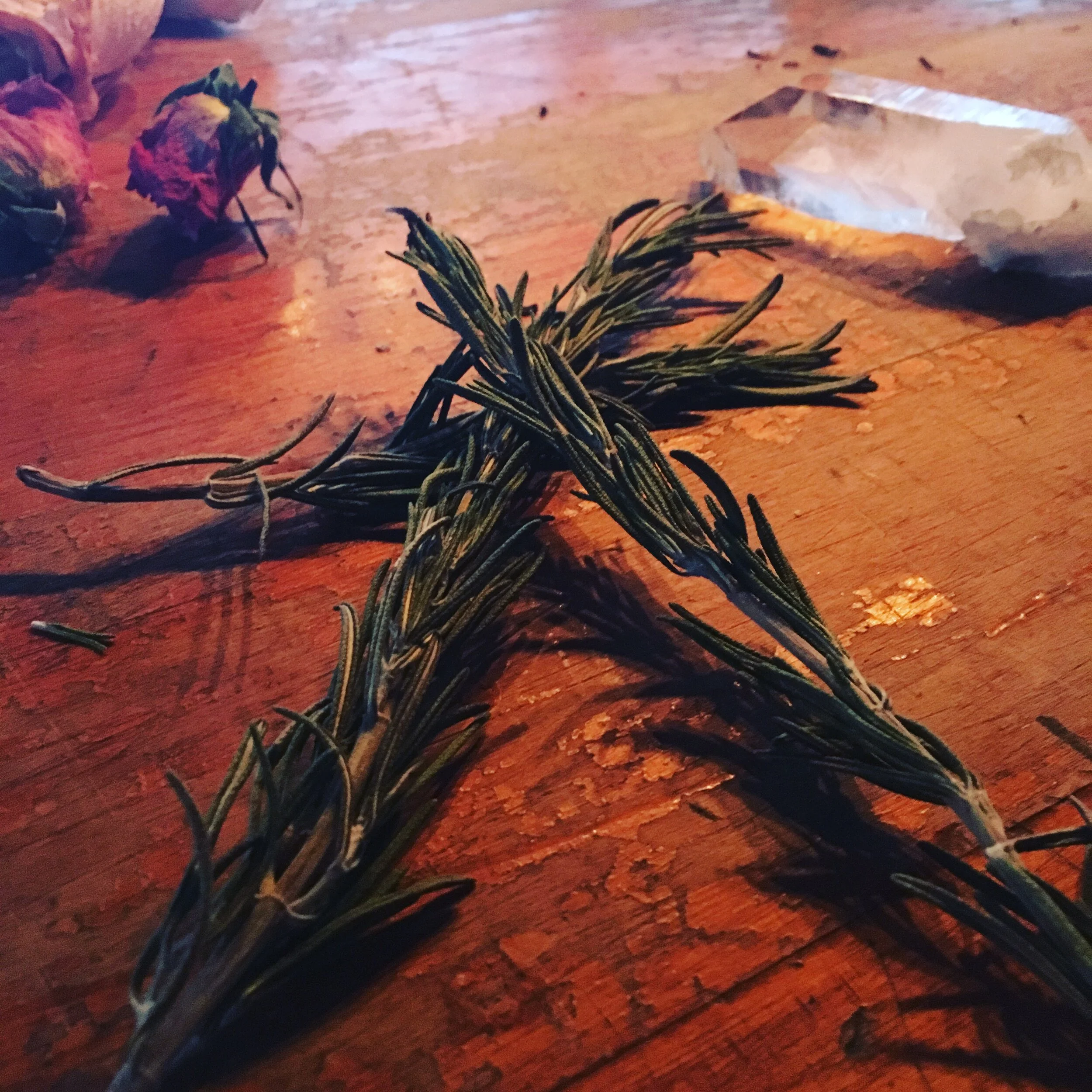 Healing Herbs | A Potion for Winter Solstice |Classes