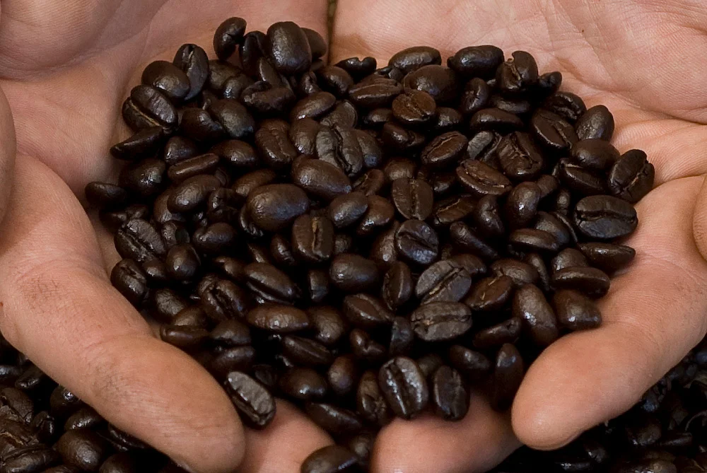 Our Roasting — Michael Thomas Coffee Roasters