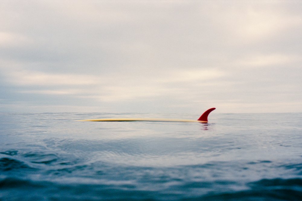 SHAPED BY THE HANDS OF NICK MAIMONE