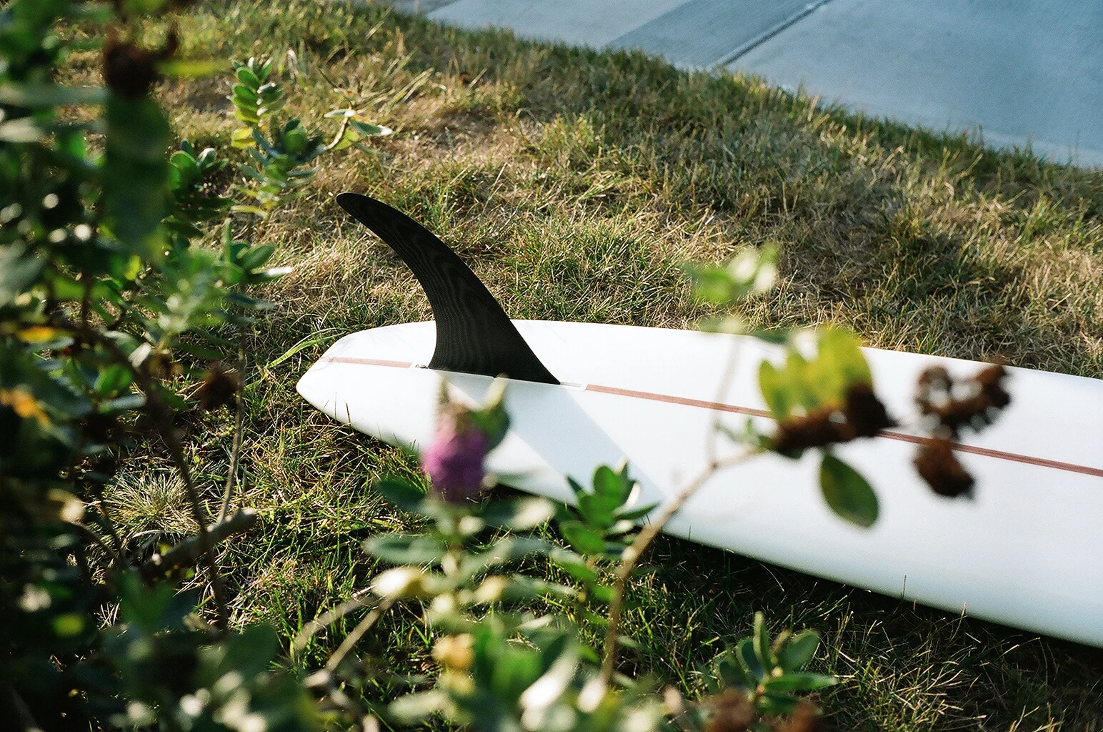 SHAPED BY THE HANDS OF NICK MAIMONE