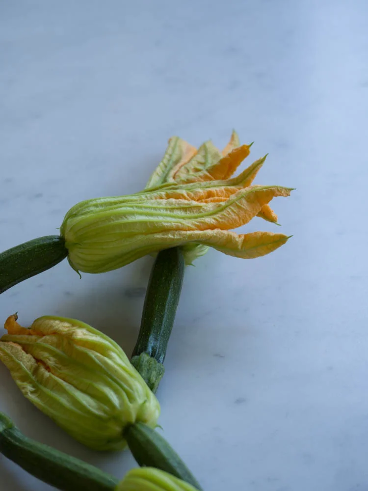 Shallow Fried Zucchini Flowers & Slow Roasted Tomato Sauce — Kulinary ...